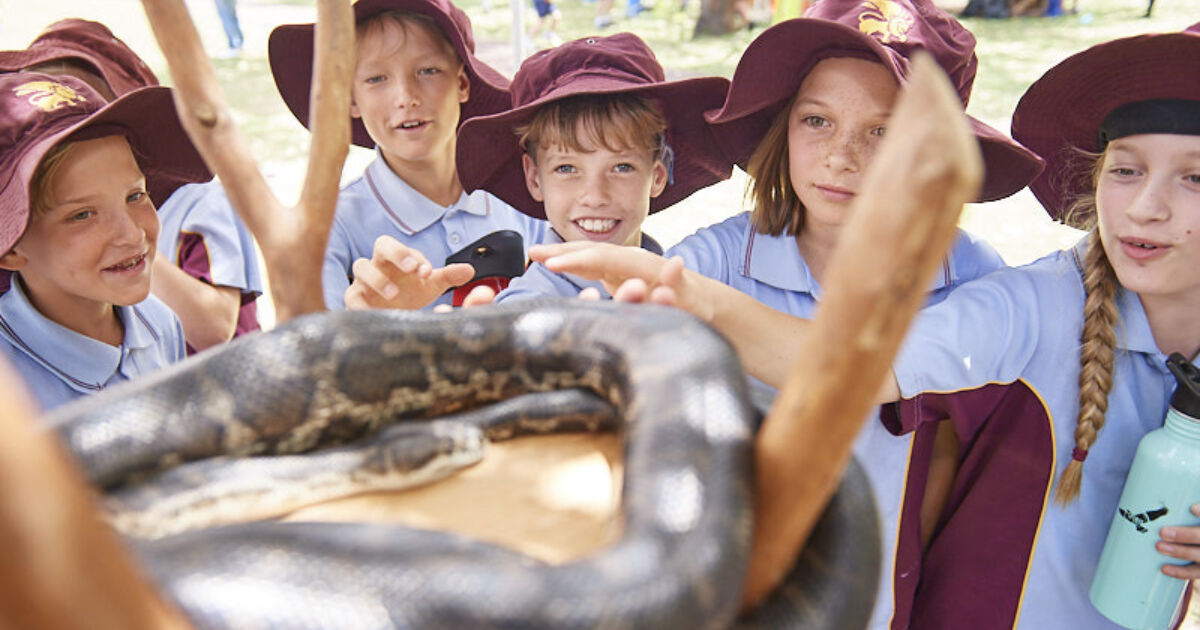 Snakes Alive | Whiteman Park