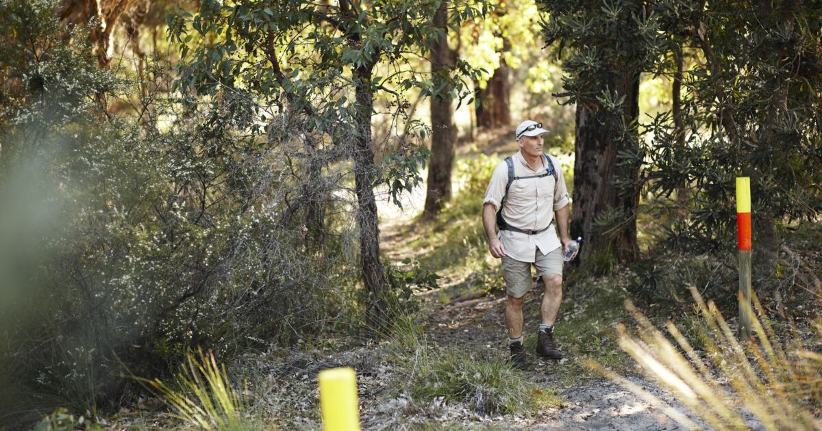 Things To Do In Perth this Winter | Whiteman Park